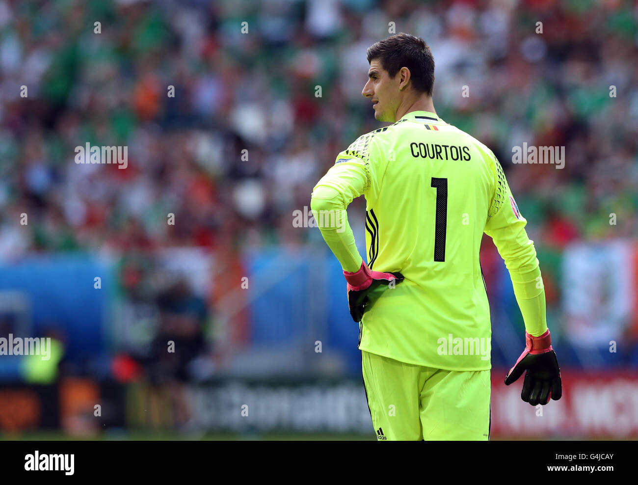 Belgium goalkeeper Thibaut Courtois during the UEFA Euro 2016, Group E ...
