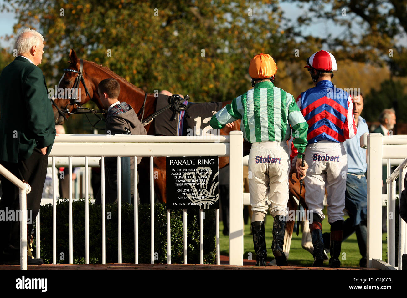 Parade ring at lingfield park racecourse hi-res stock photography and ...