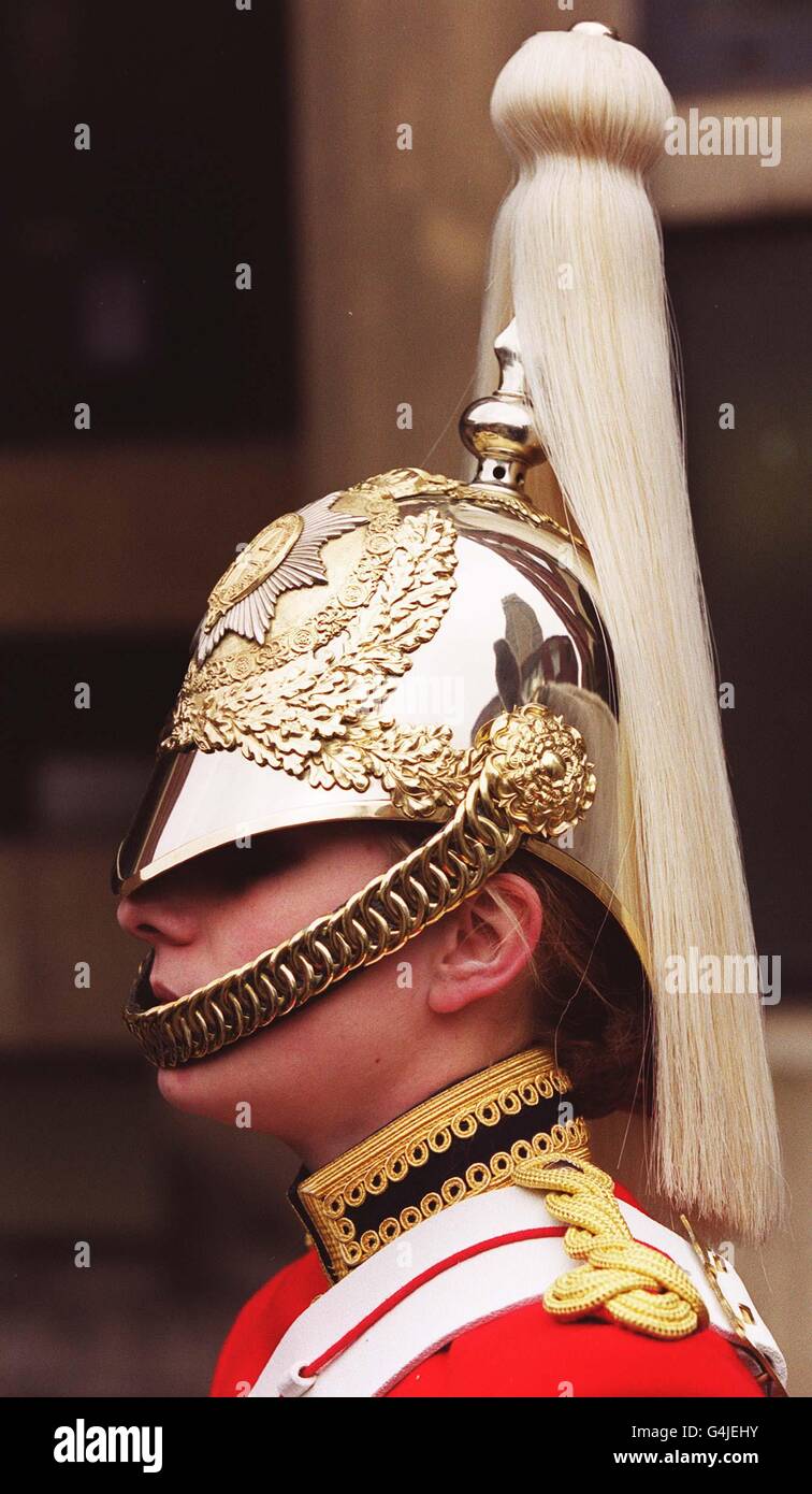 DEFENCE Musician 2 Stock Photo - Alamy