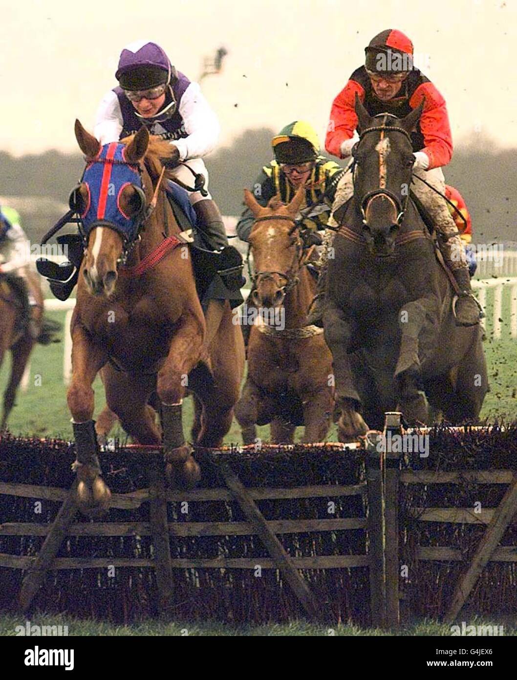 Sumo f hi-res stock photography and images - Alamy