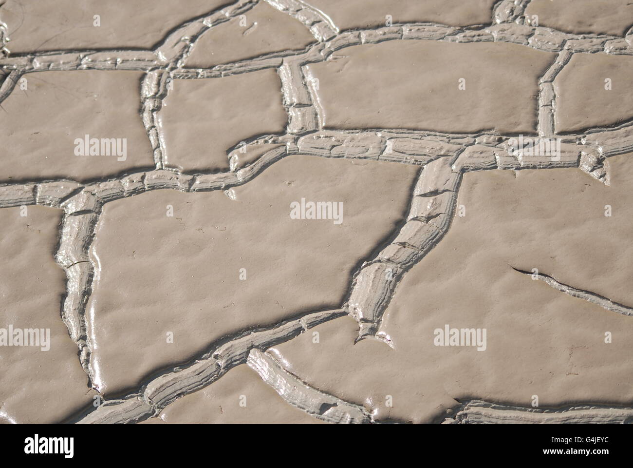 Clayey surface at the Nallihan bird paradise Stock Photo - Alamy