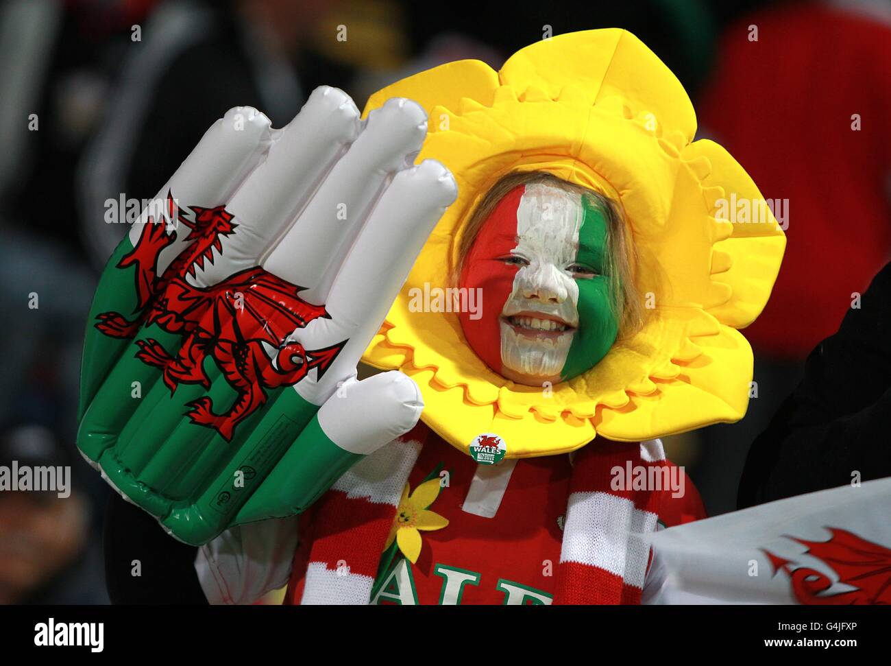 A young Welsh fan dressed as a daffodil shows her support in the stands ...