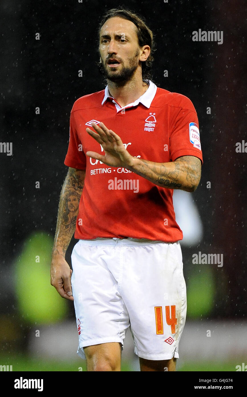 Jonathan greening forest hi-res stock photography and images - Alamy