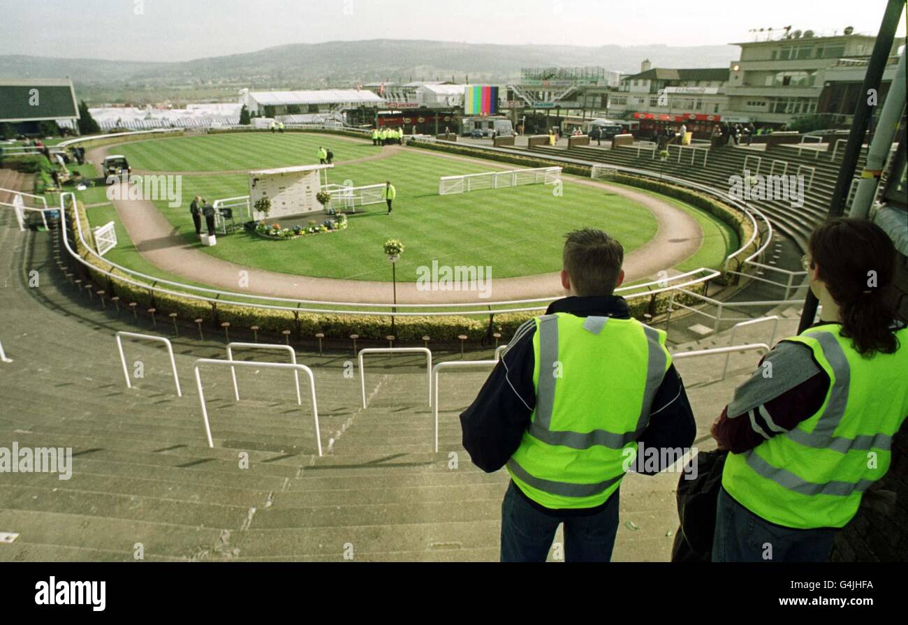 Cheltenham winners parade hi-res stock photography and images - Alamy
