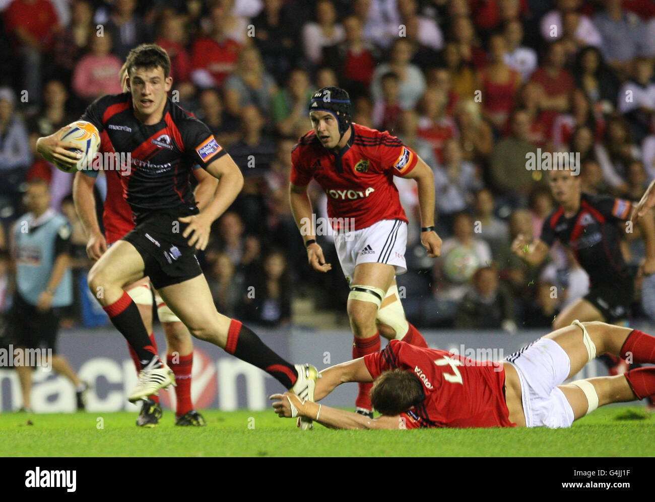 Rugbyu munster full length mangrr hi-res stock photography and images ...