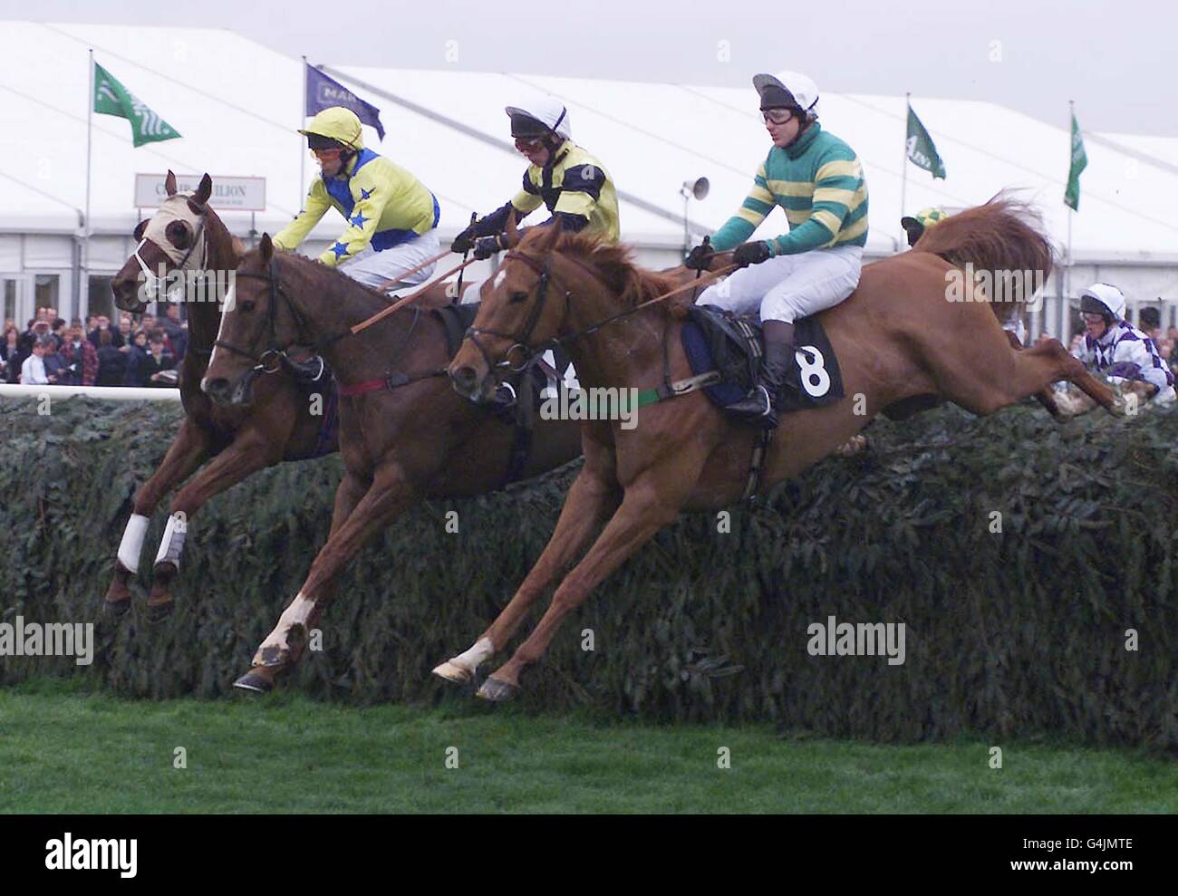 The winner of the Martell Fox Hunters Chase, Elegant Lord (closest to ...