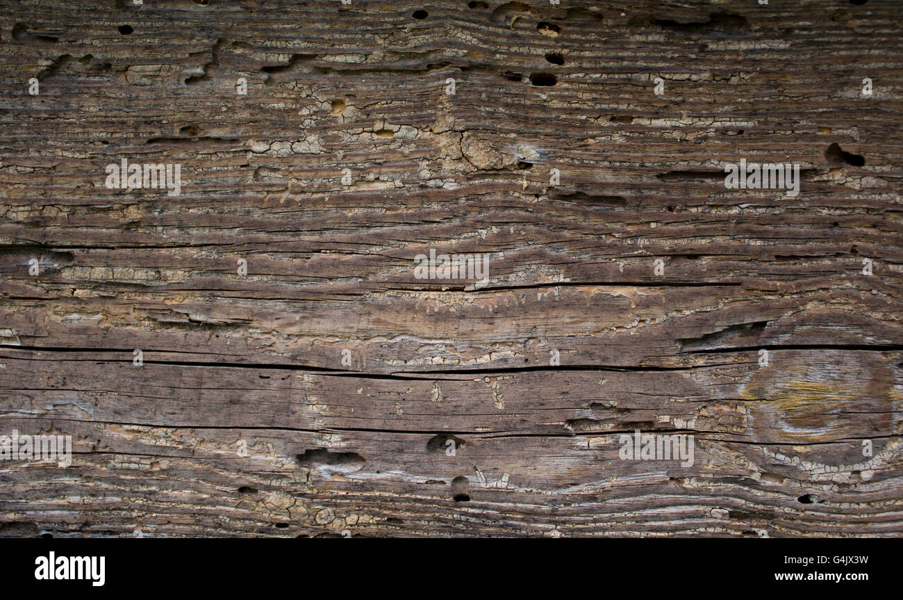 The structure of the old wood closeup for retro background Stock Photo ...