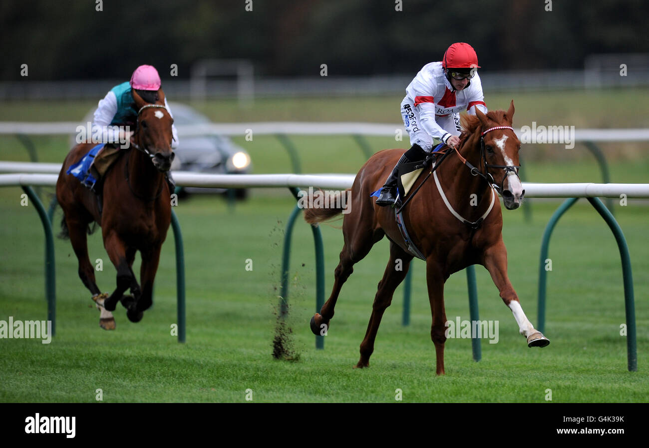 Figaro hi-res stock photography and images - Alamy