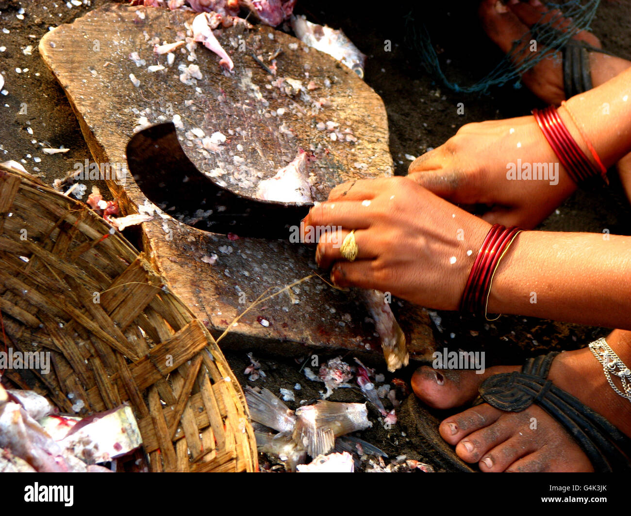An Indian woman Cutting fish Stock Photo - Alamy