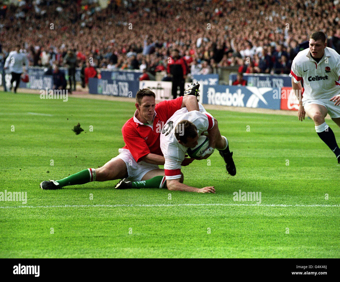 Wales/5 Nations/Taylor. Mark Taylor of Wales in action during the Five ...