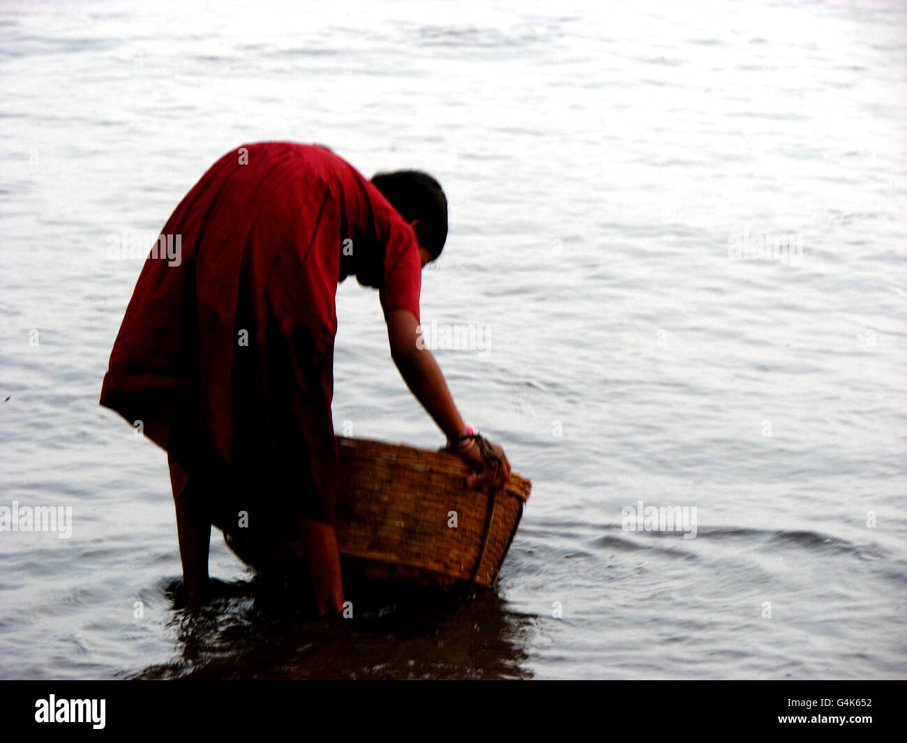 Fishergirl washing her catch of crabs in the sea Stock Photo - Alamy