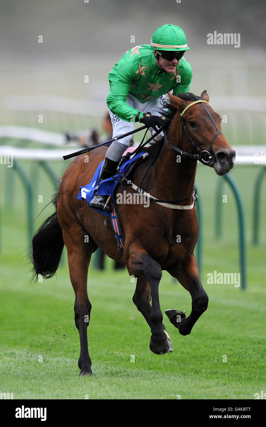 Horse Racing - Nottingham Racecourse Stock Photo - Alamy
