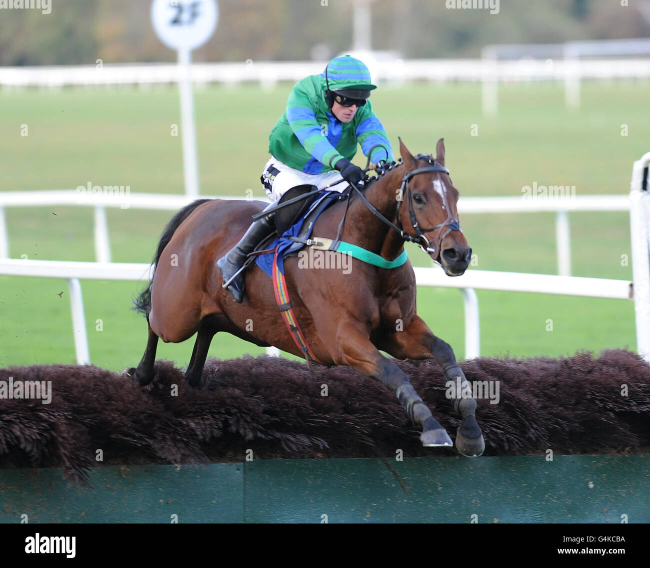 Quilan hi-res stock photography and images - Alamy