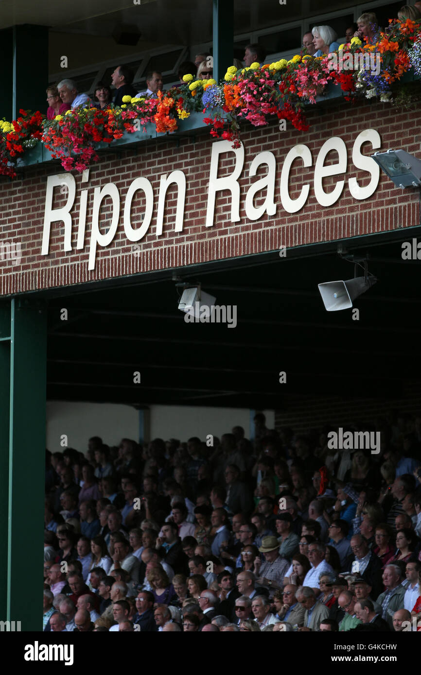 Ripon Racecourse Stock Photos & Ripon Racecourse Stock Images - Alamy
