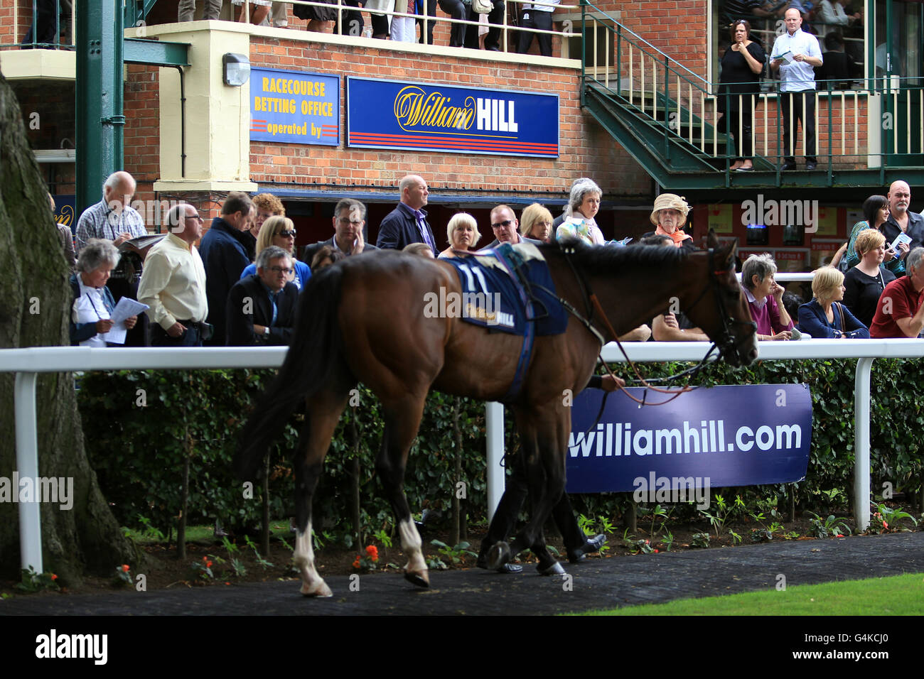 Full length parade ring hi-res stock photography and images - Alamy