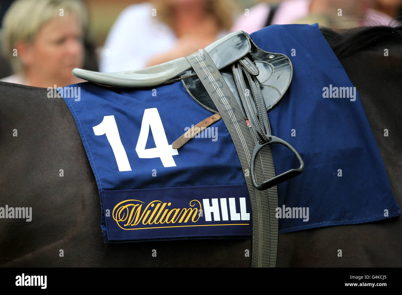 William hill sponsored saddle cloth on a horse hi-res stock photography ...