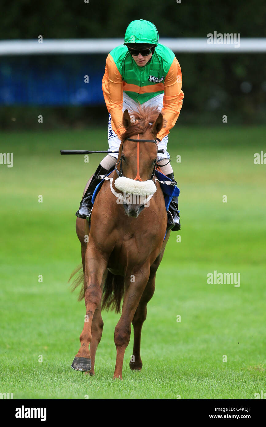 Horse racing ripon racecourse hi-res stock photography and images - Alamy