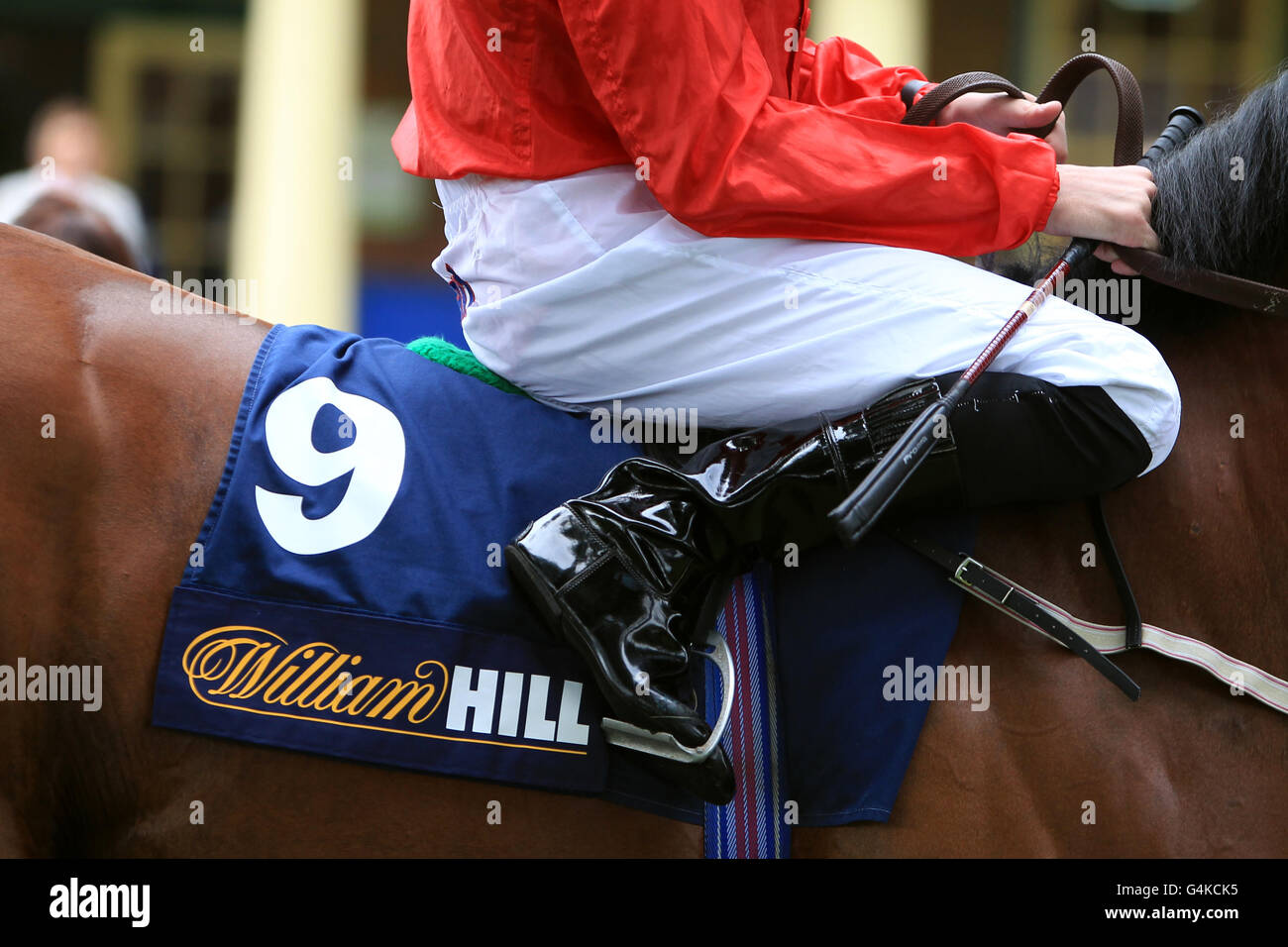 Horse Racing - Ripon Racecourse. William Hill sponsored saddle cloth on ...