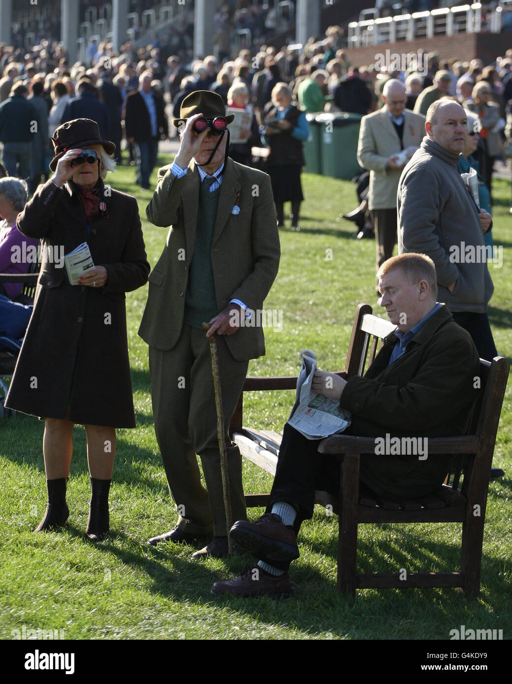 Horse racing the showcase cheltenham racecourse hi-res stock ...