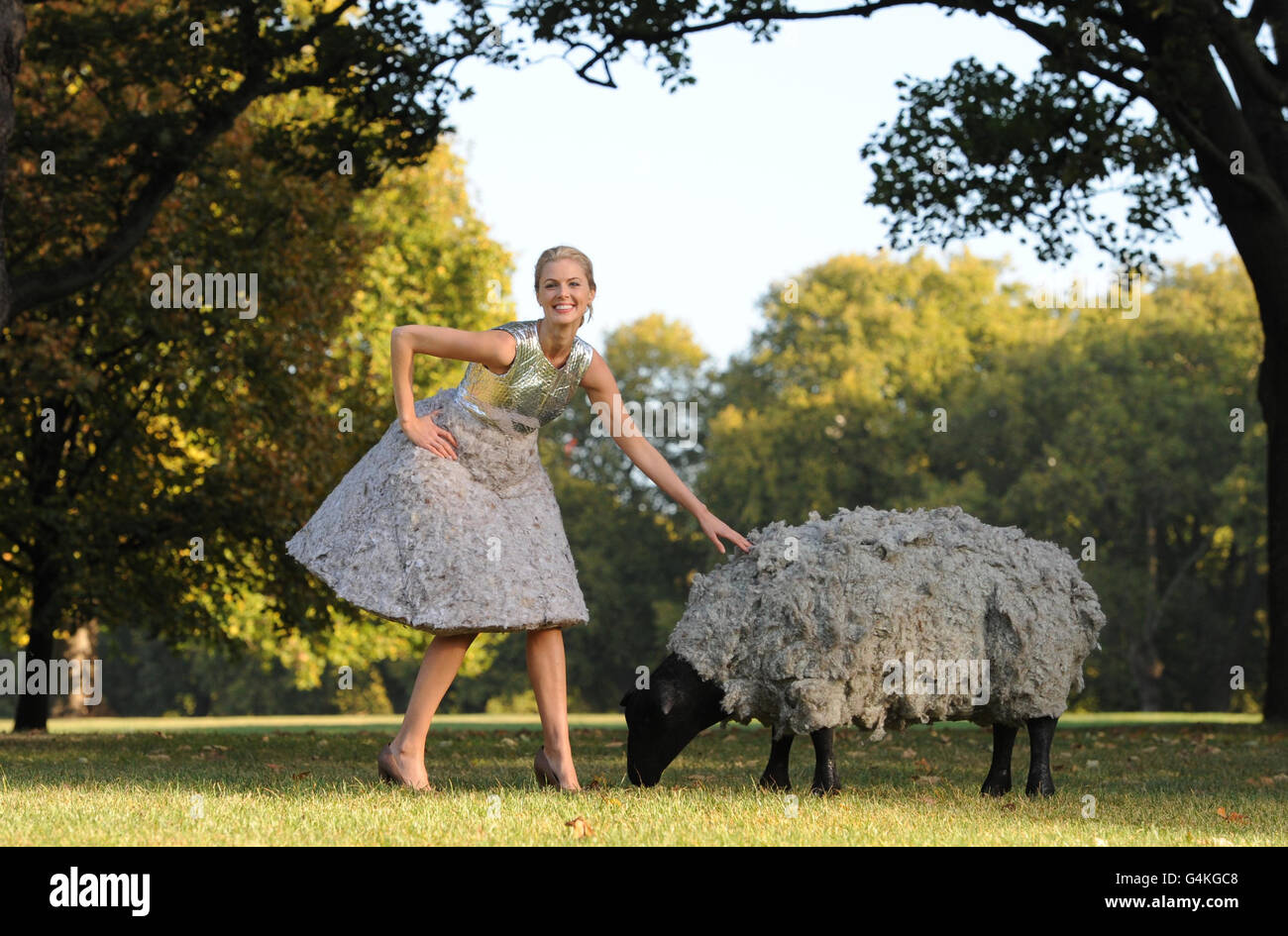 Sheeps wool insulation hi-res stock photography and images - Alamy