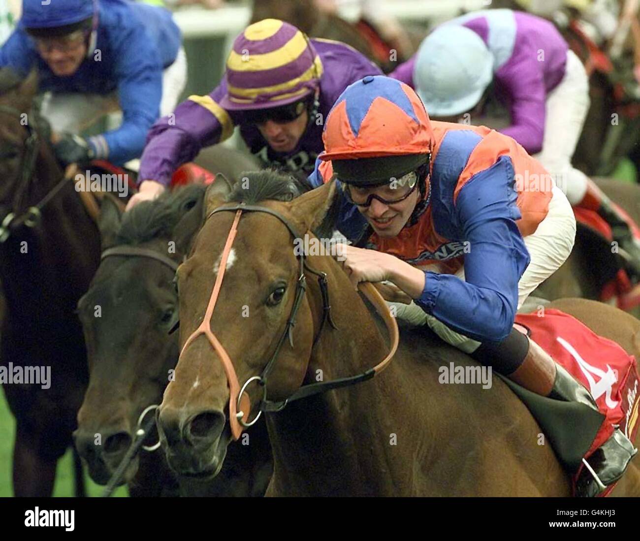 RACING York/Sampower Star Stock Photo - Alamy