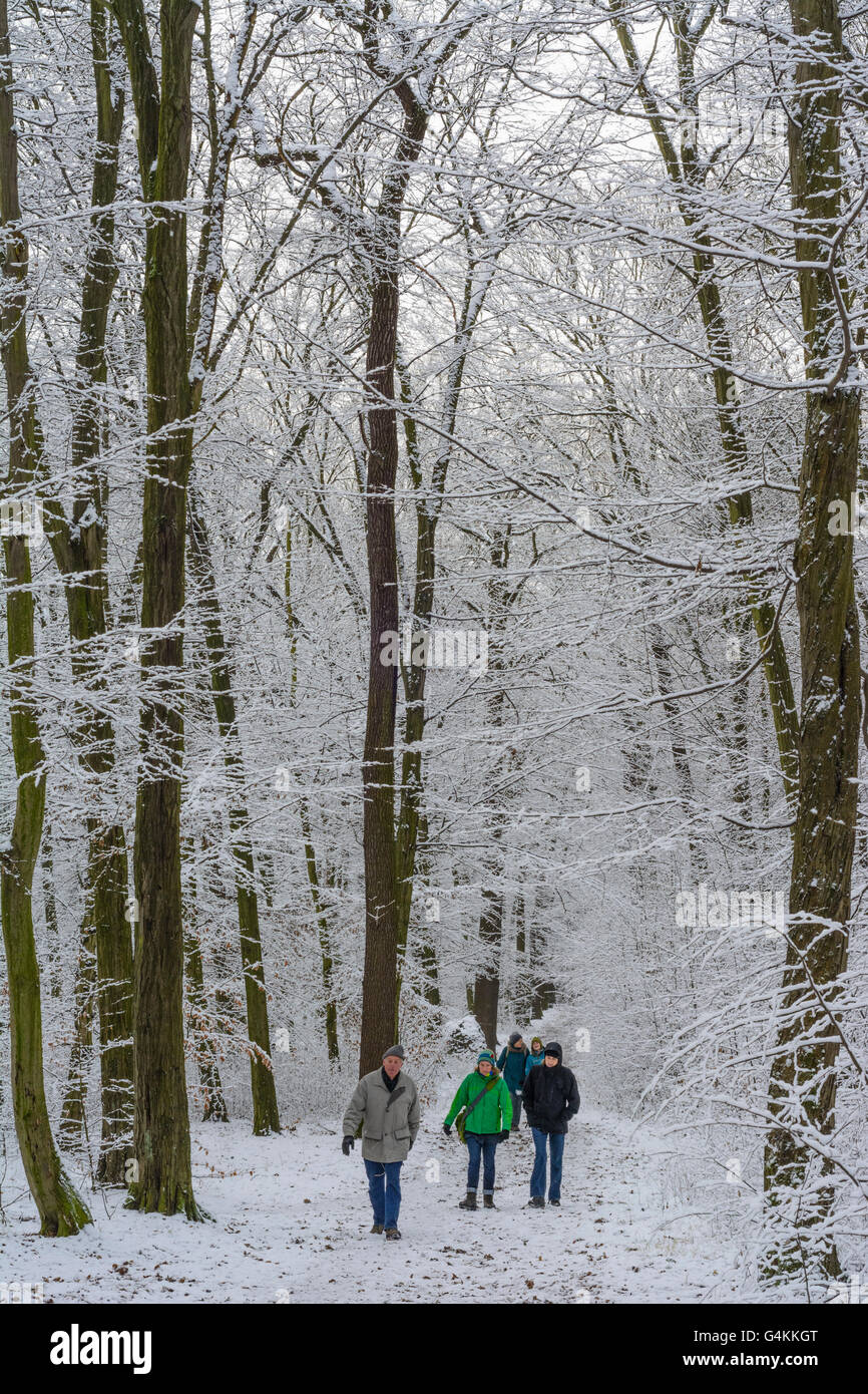 Dresdner heide hi-res stock photography and images - Alamy