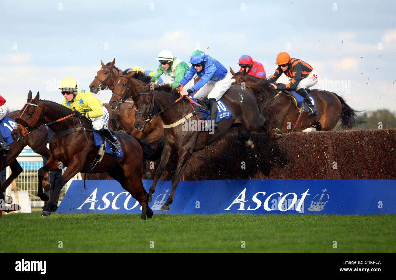 Exmoor Ranger (blue and green) ridden by Andrew Glassonbury comes from ...