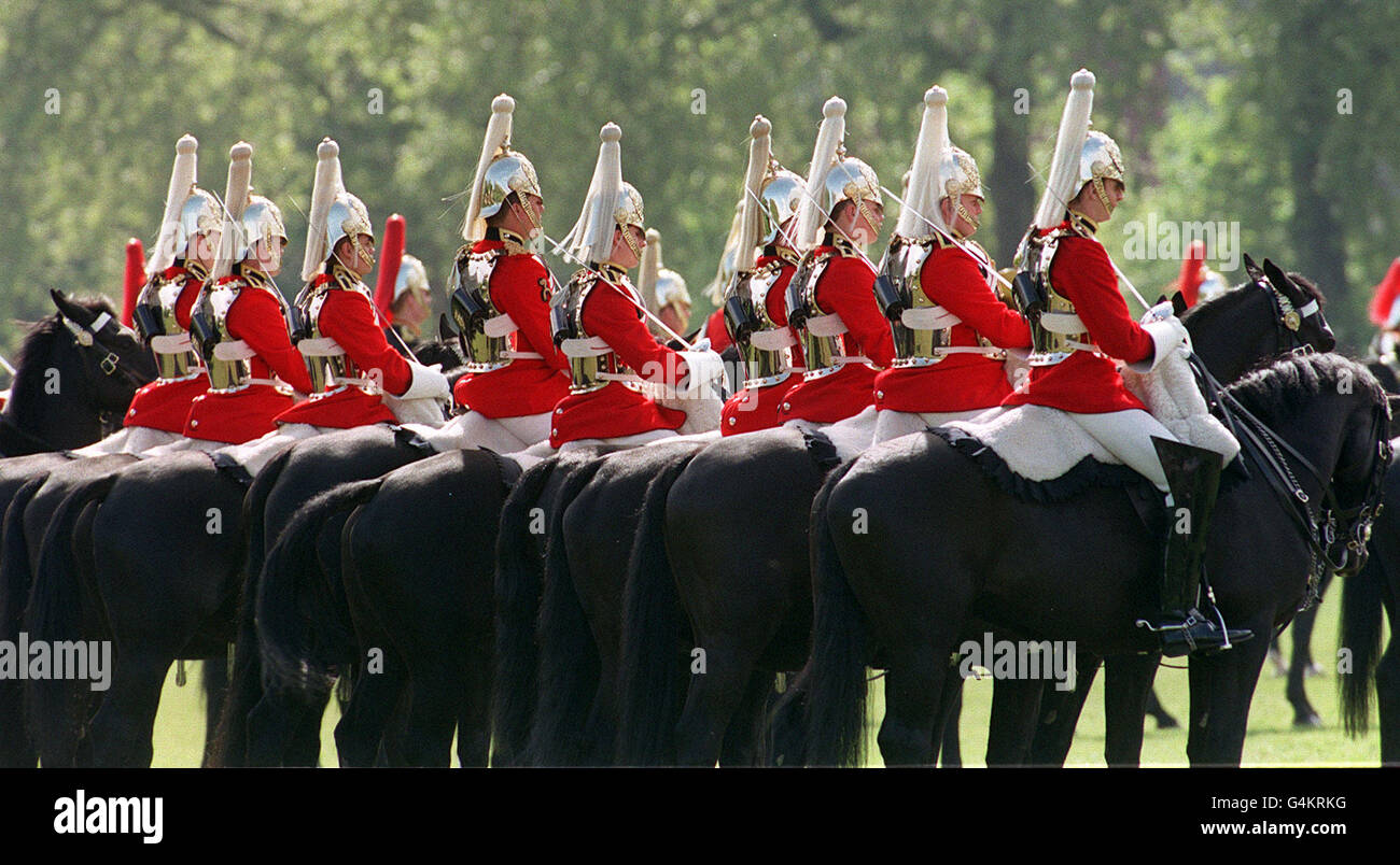 Lifeguards from the household cavalry mounted regiment hi-res stock ...