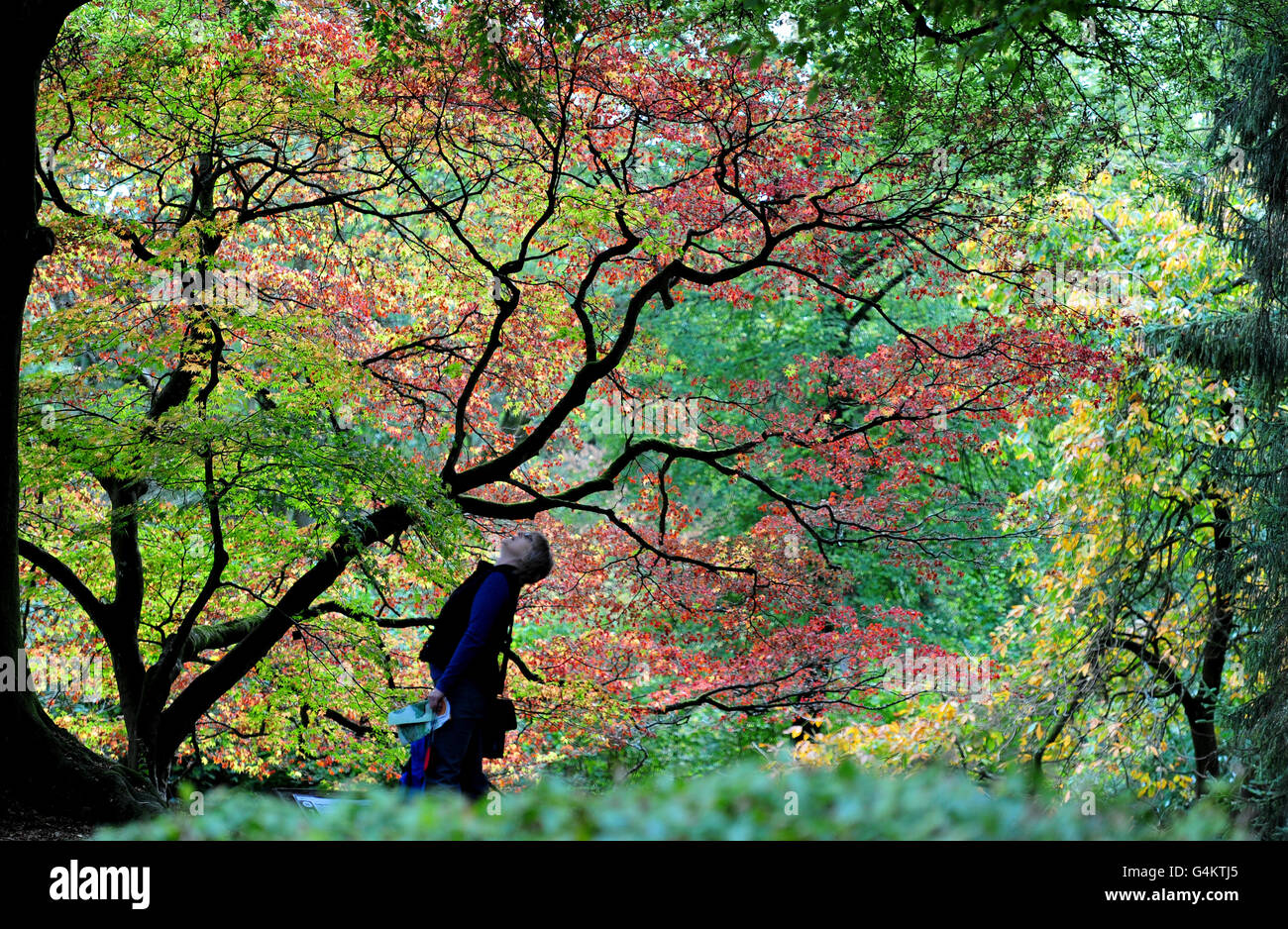 Autumn weather October 17th Stock Photo - Alamy