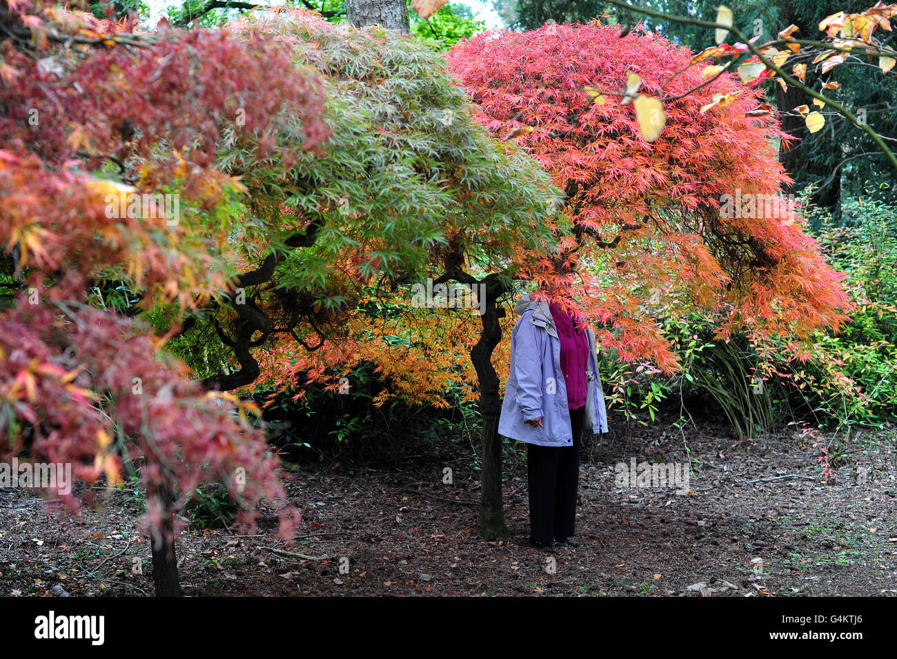 Autumn weather October 17th Stock Photo - Alamy