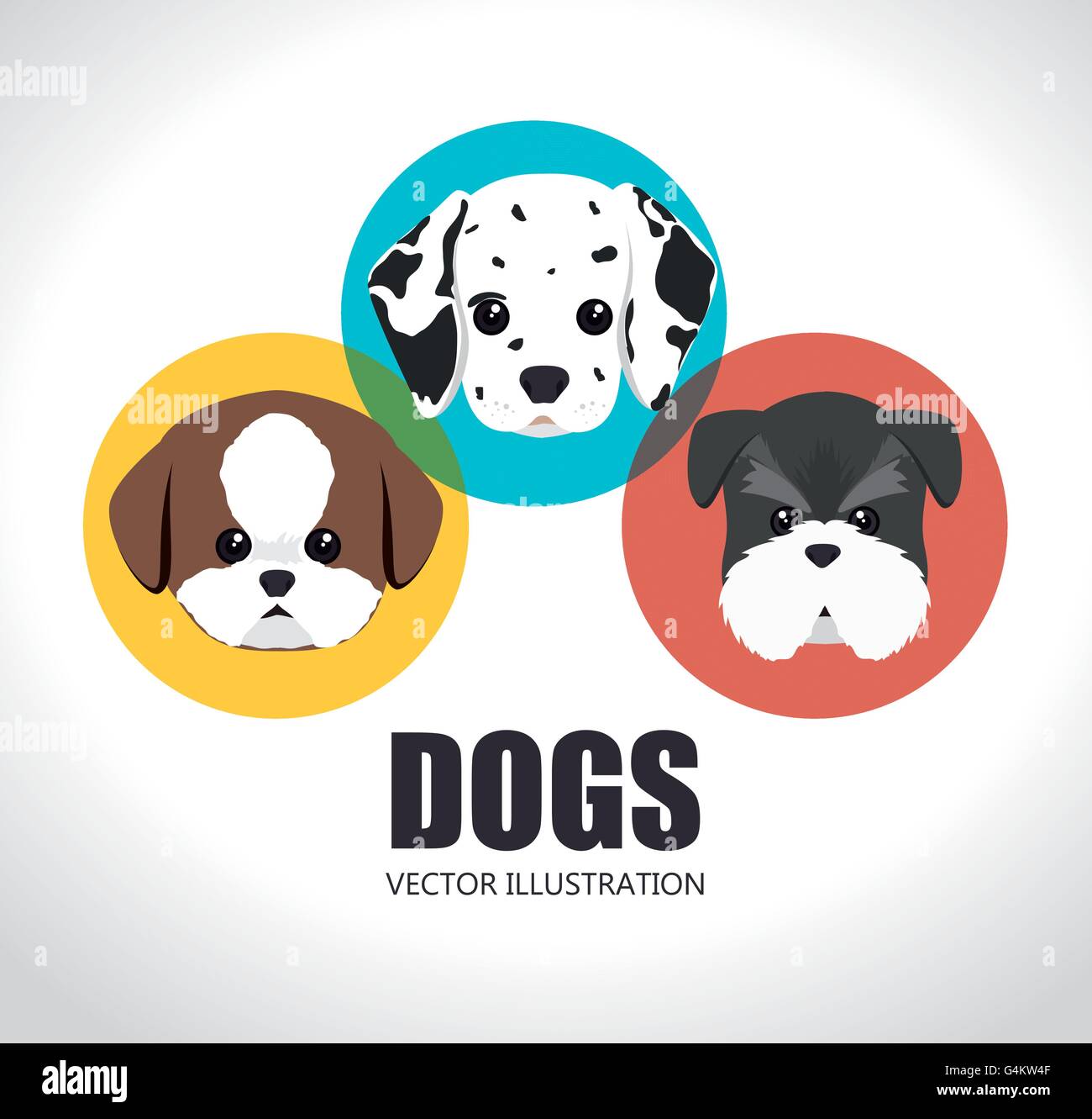 cute dog design Stock Vector Image & Art - Alamy