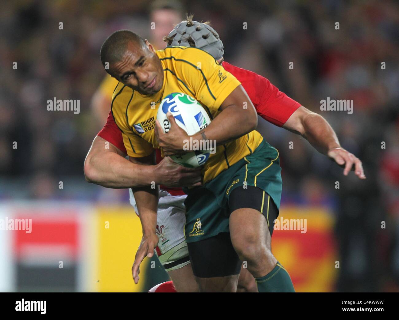 Australias will genia rugby world cup hi-res stock photography and ...