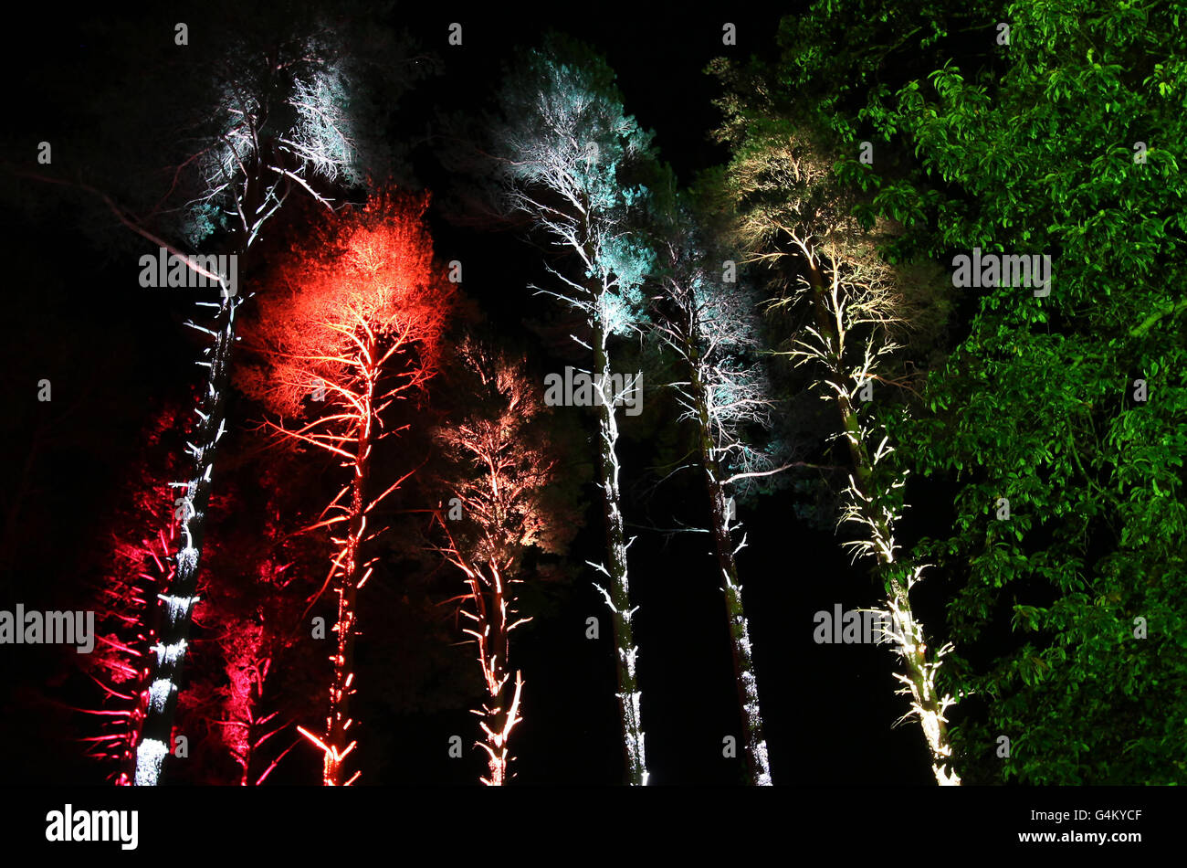 Negative features hi-res stock photography and images - Alamy