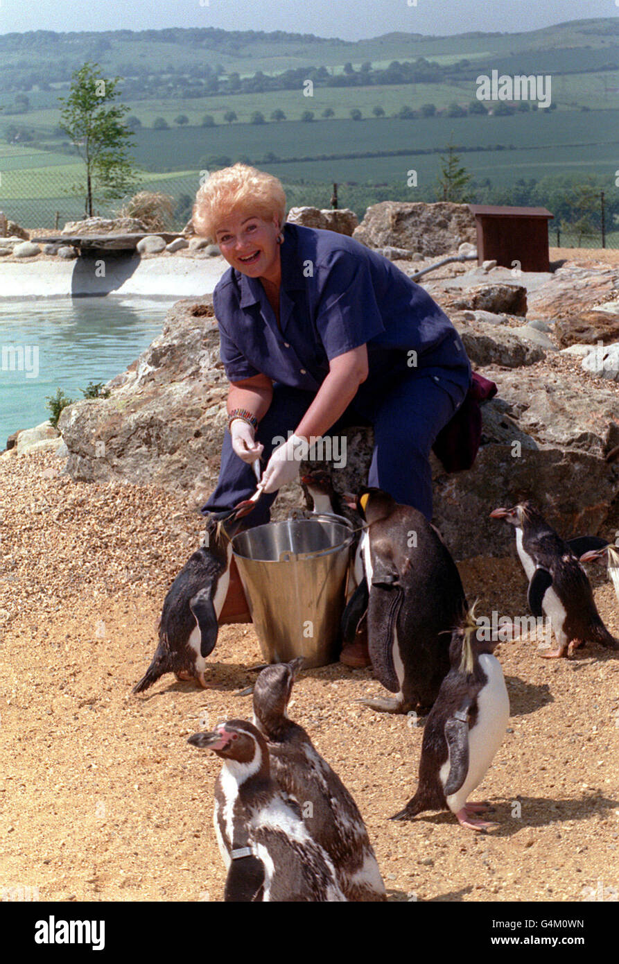 Pat butcher hi-res stock photography and images - Alamy