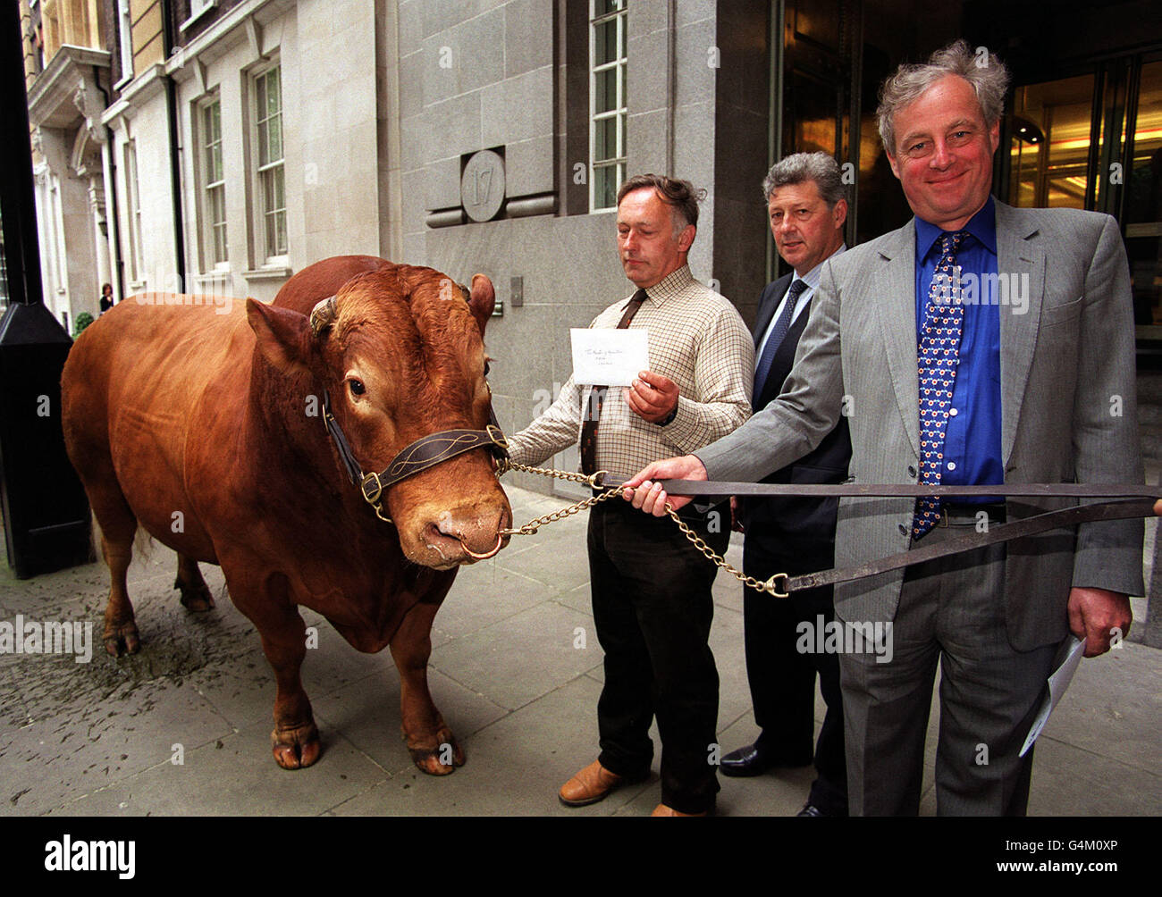 POLITICS Beef/Yeo & bull Stock Photo - Alamy