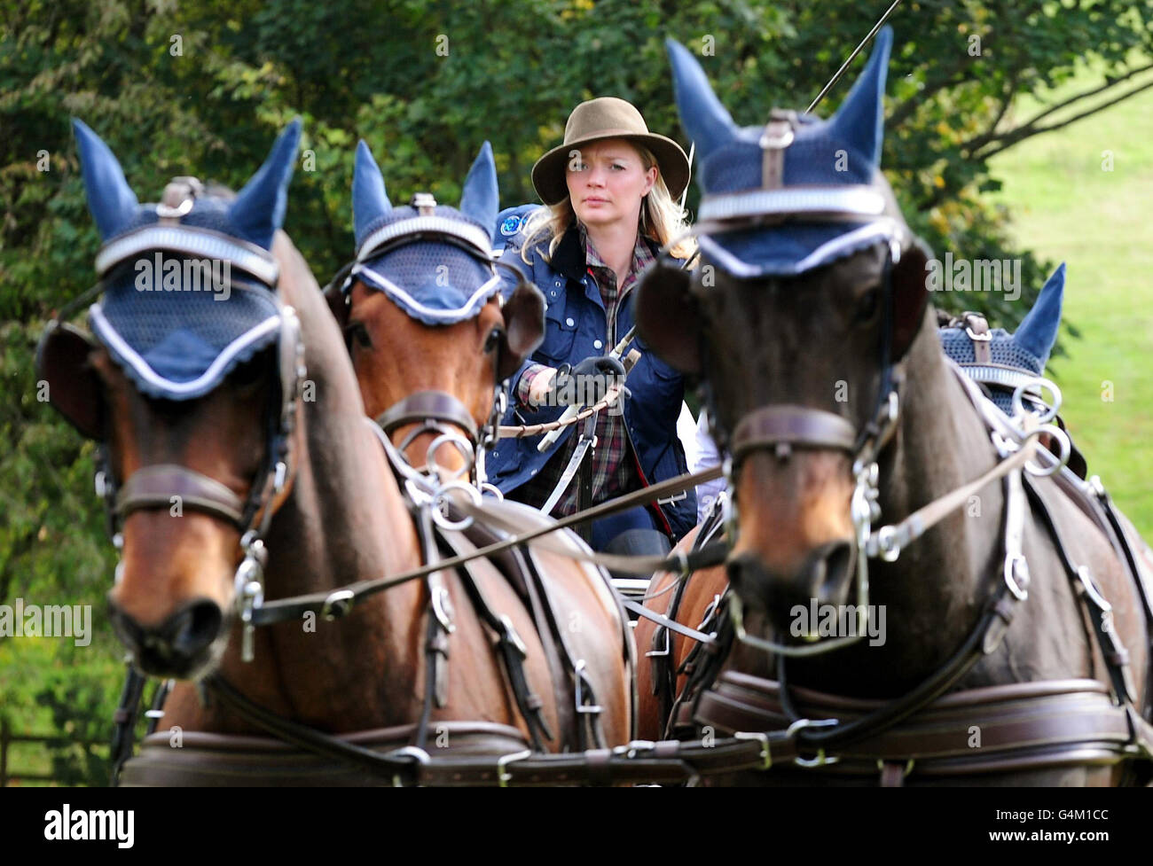 Driving horse hi-res stock photography and images - Alamy