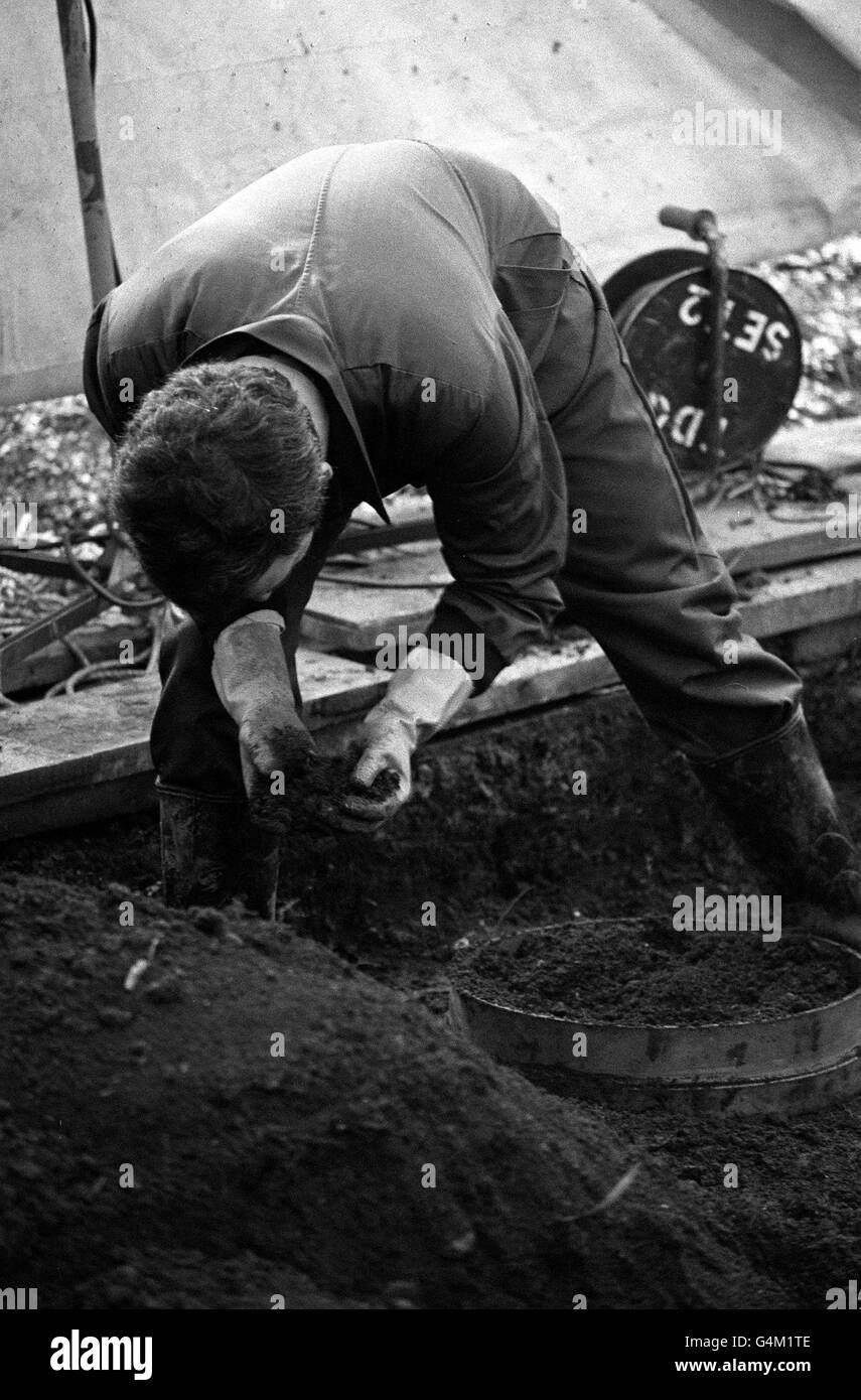 Back 13 Black and White Stock Photos & Images - Alamy