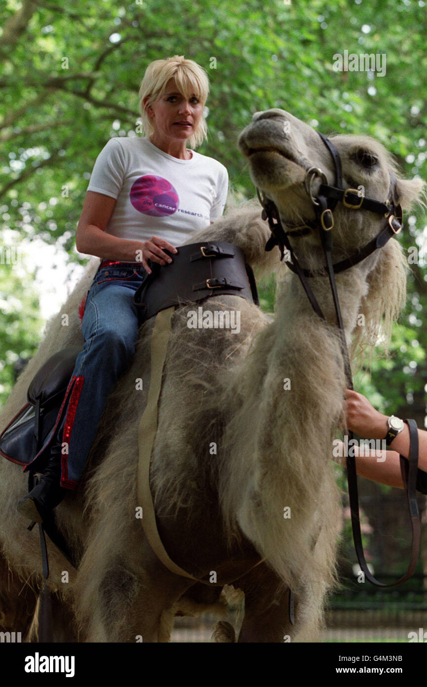 Cancer research zoo collins hi-res stock photography and images - Alamy