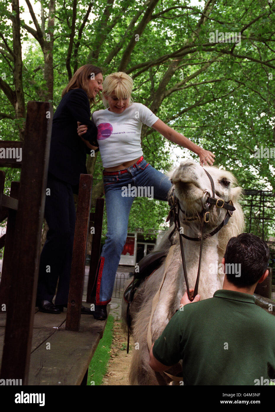 Actress michelle collins gets on bactrian camel at london zoo hi-res ...