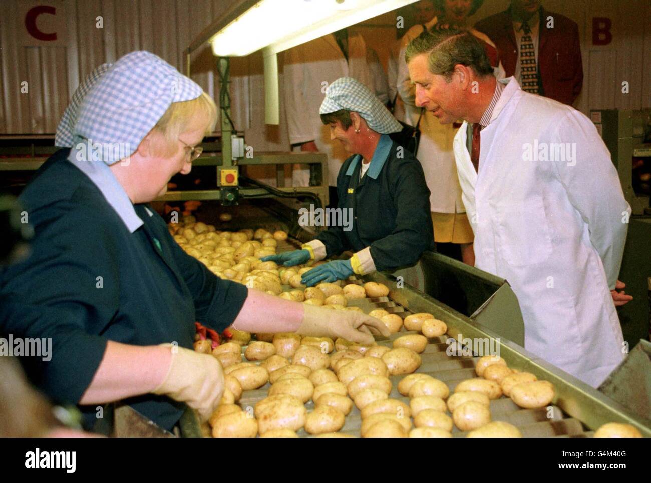 Prince of Wales/potatoes/Scotland Stock Photo - Alamy