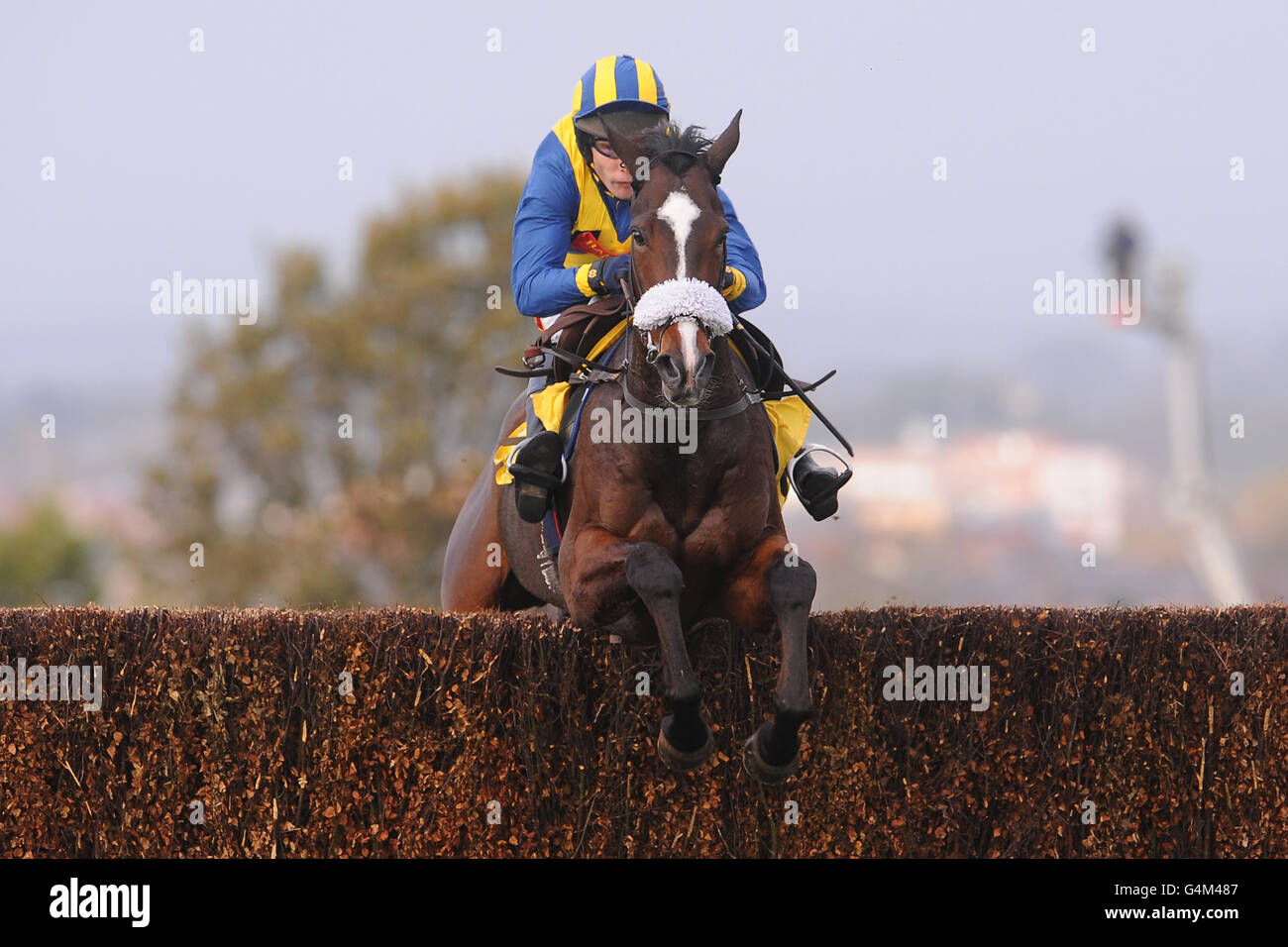 Carlisle racecourse jumps hi-res stock photography and images - Alamy