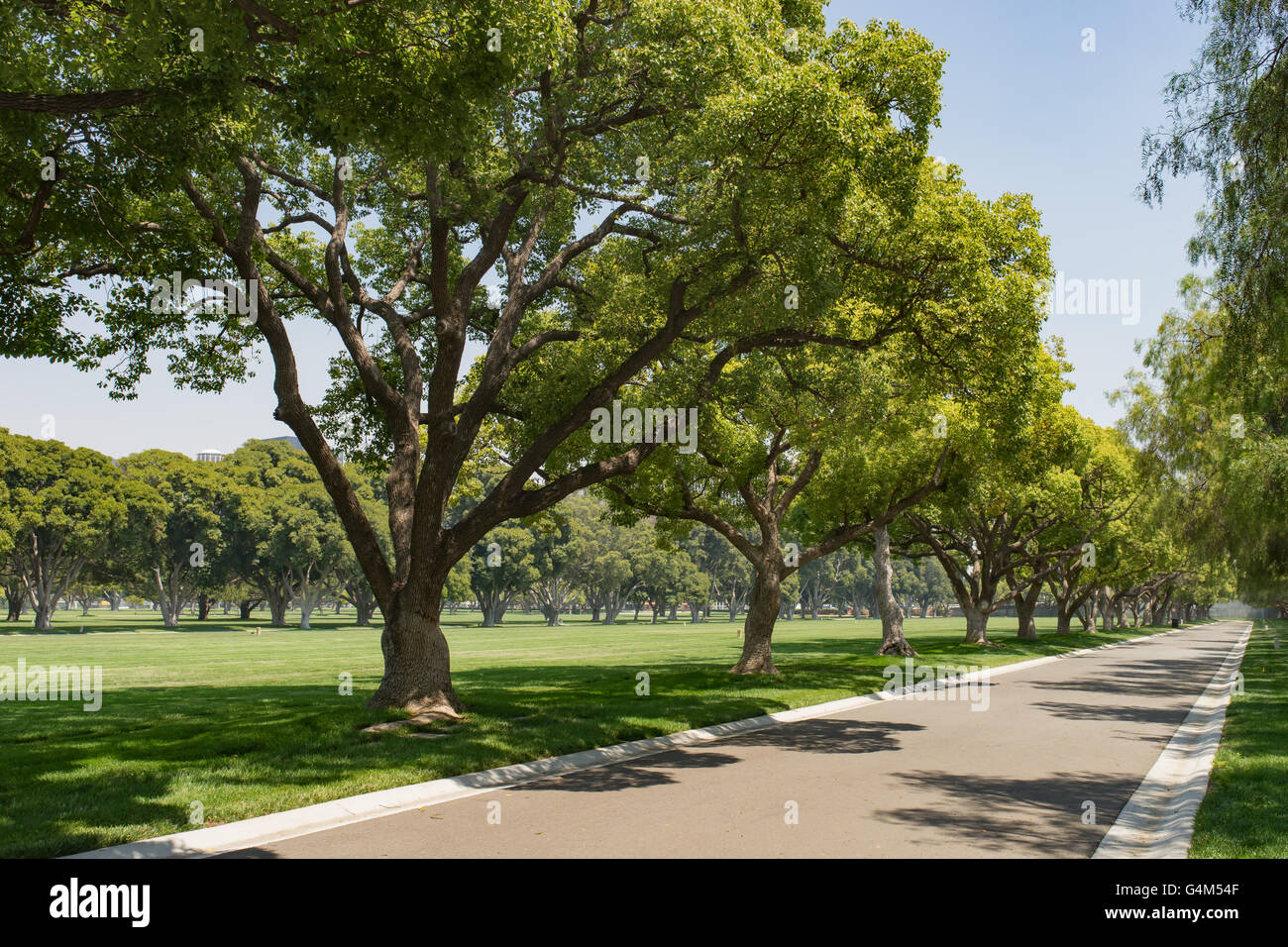 Military branches america hi-res stock photography and images - Alamy