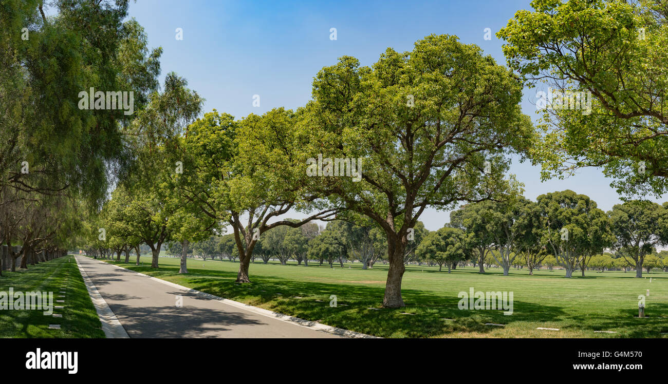 Beautiful symmetrical tree lined road hi-res stock photography and ...