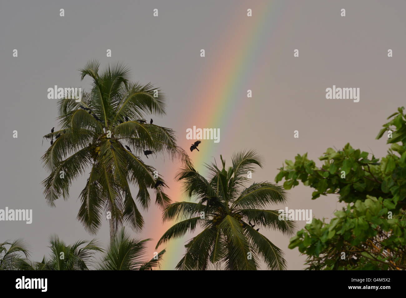 Tropical beach rainbow hi-res stock photography and images - Alamy