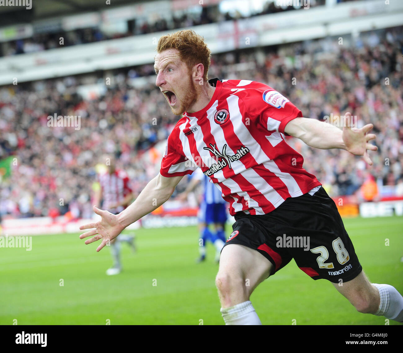 Stephen quinn celebrates sheffield utd hi-res stock photography and ...