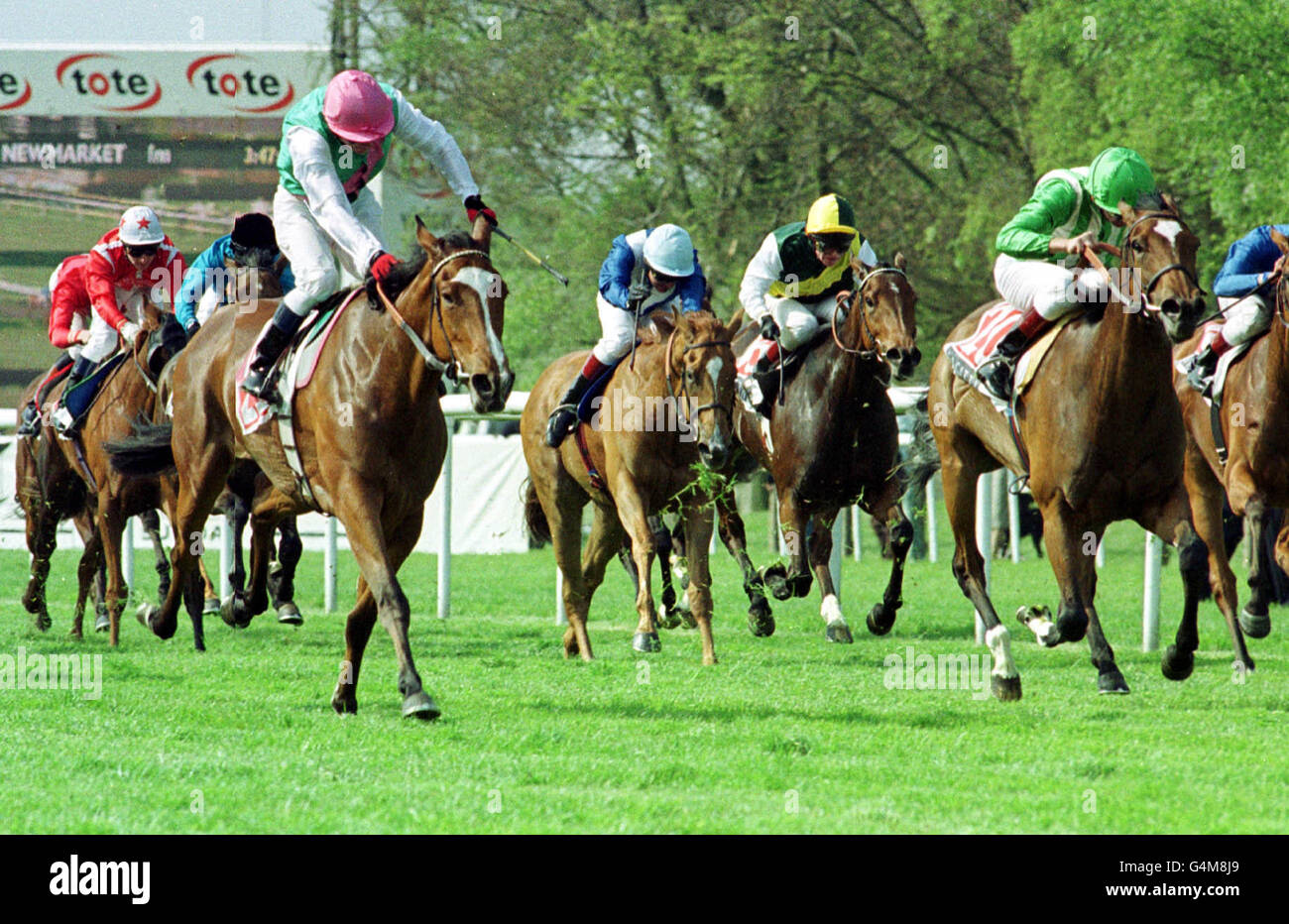 Newmarket races/1000 Gunieas Stock Photo - Alamy