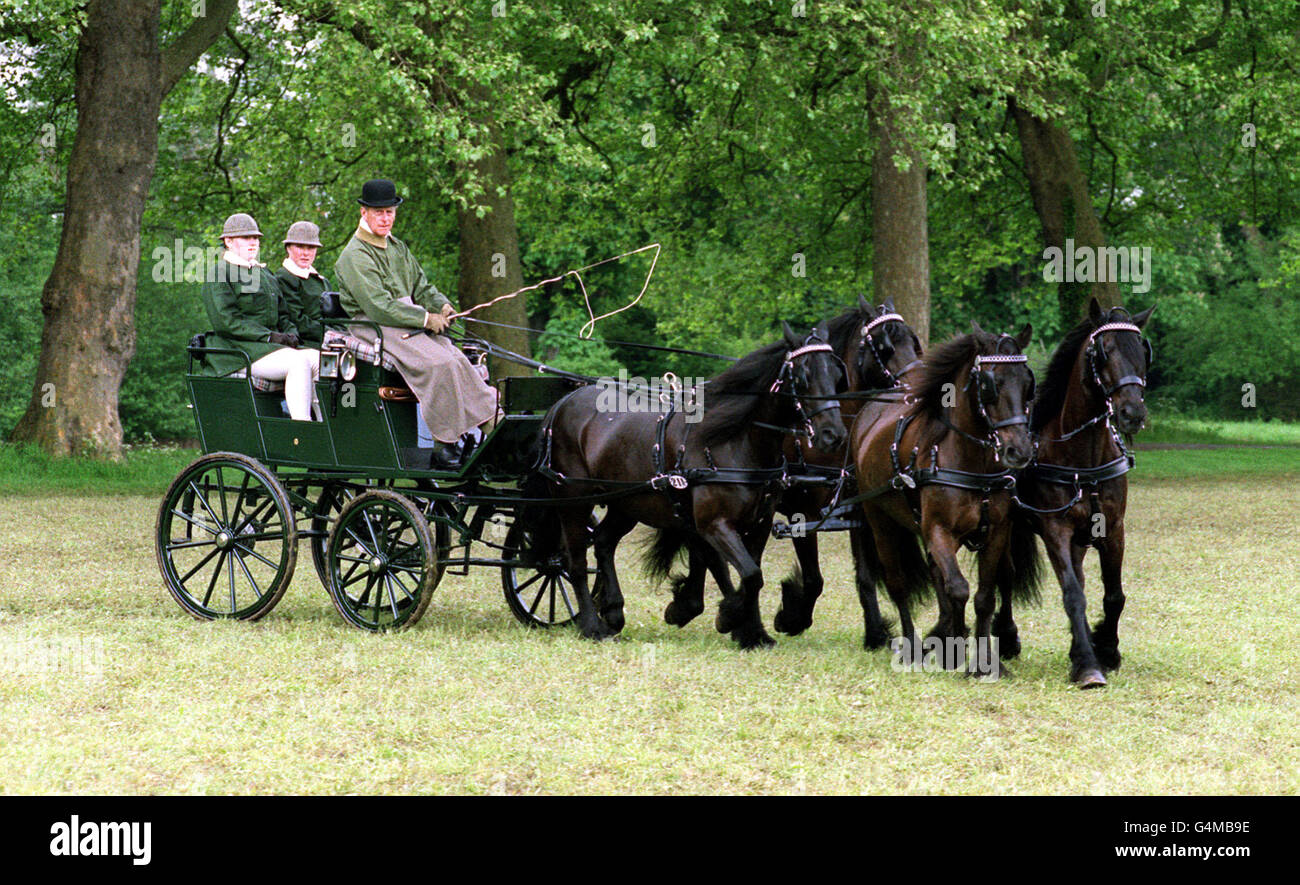 Equestrian - Carriage Driving - Royal Windsor Horse Show Stock Photo ...