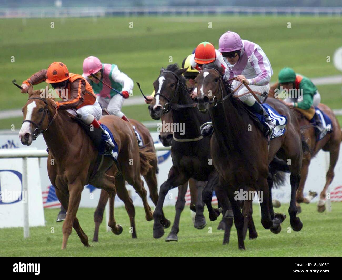 RACING Irish/Hula Angel Stock Photo - Alamy