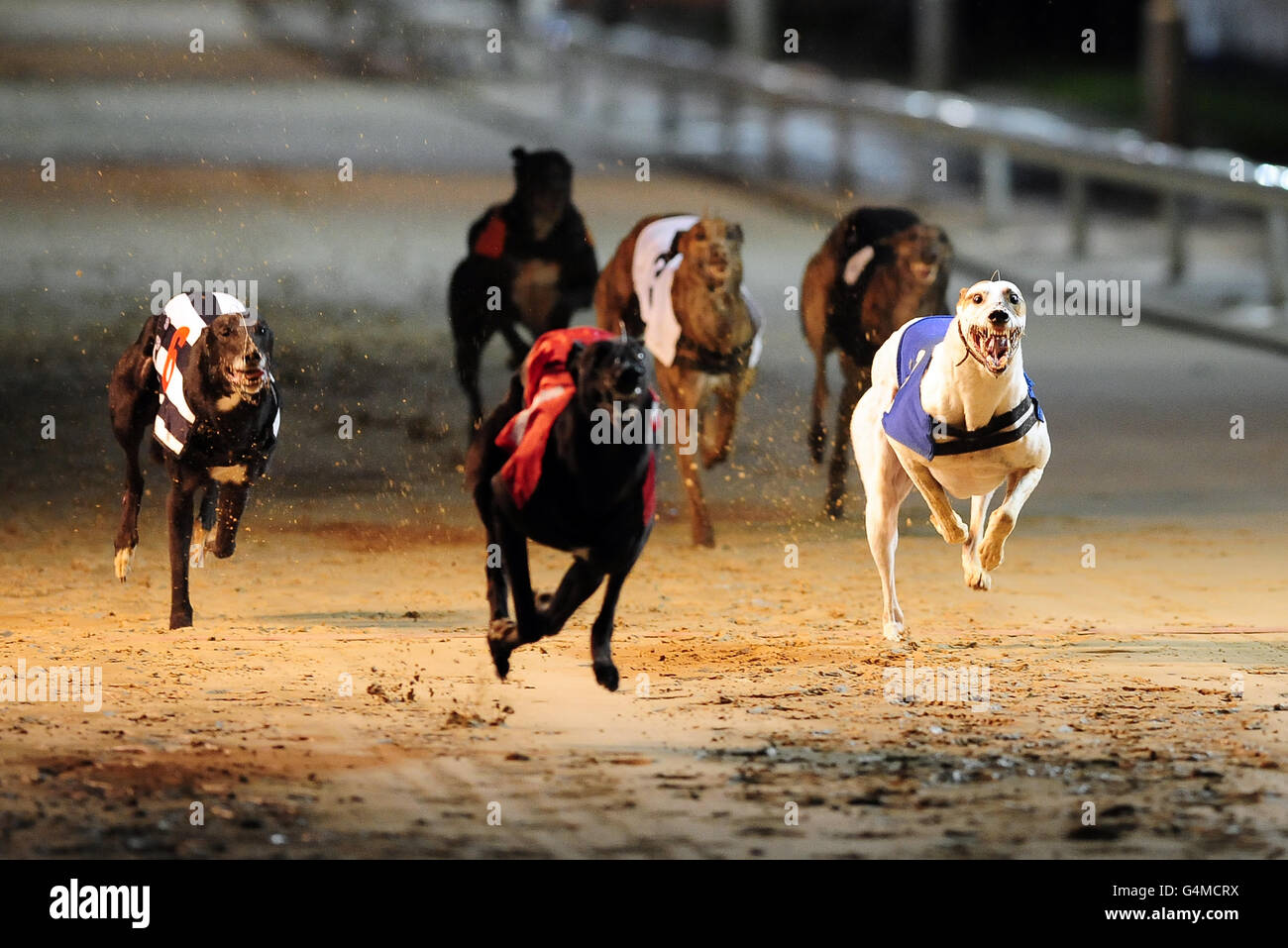 Newcastle greyhound stadium hi-res stock photography and images - Alamy