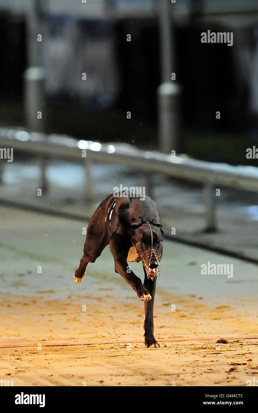 Newcastle greyhound stadium hi-res stock photography and images - Alamy
